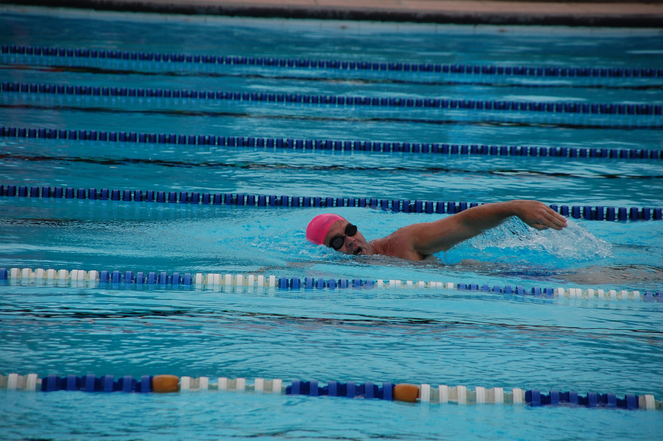 Lido Sustainability | Sandford Parks Lido Cheltenham